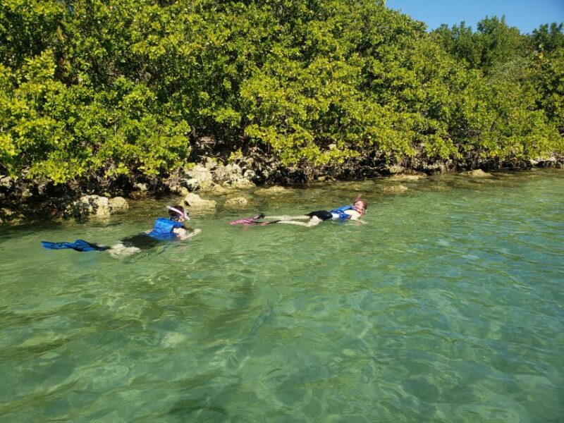 Miami: Beginner-Friendly Island Snorkeling by SUP or Kayak - What the Reviews Say