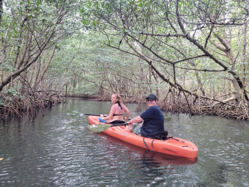Miami: Beginner-Friendly Island Snorkeling by SUP or Kayak - The Experience in Detail: Why It Works