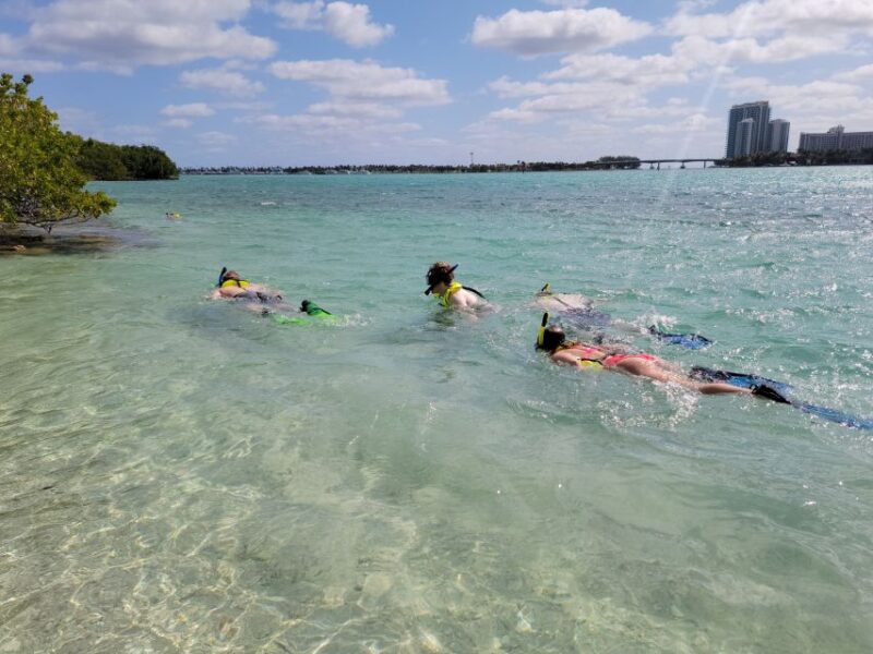 Miami: Beginner-Friendly Island Snorkeling by SUP or Kayak - How Does the Price Add Up?