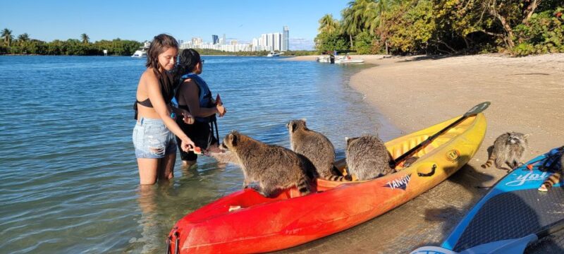 Miami: Beginner-Friendly Island Snorkeling by SUP or Kayak - Frequently Asked Questions