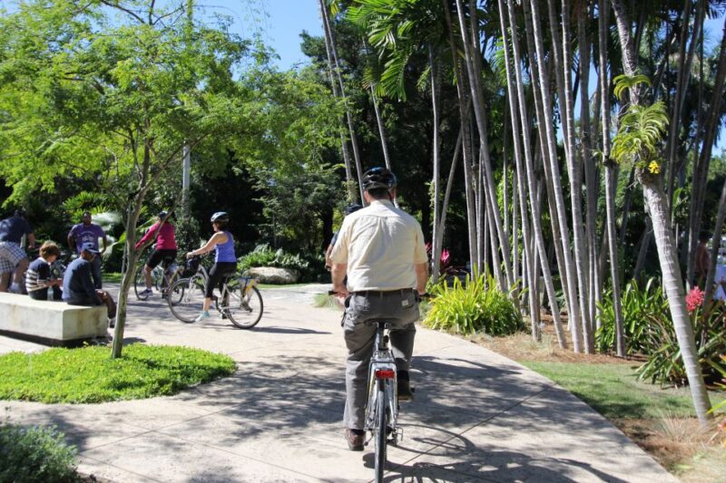 Miami: Bike Rental - Practical Tips for Your Bike Day in Miami