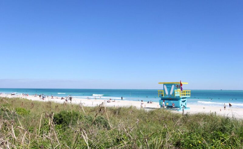 Miami: Bike Rental - The Sum Up