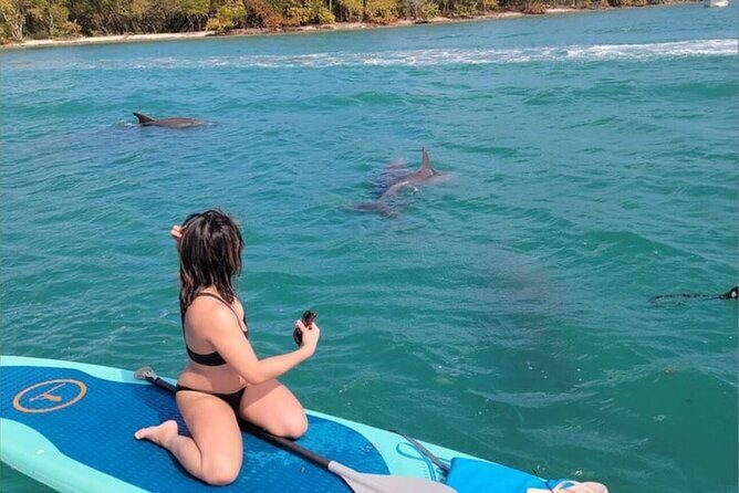 Miami Biscayne Bay Boat Tour with Sandbar Experience. - Practical Details: What You Need to Know