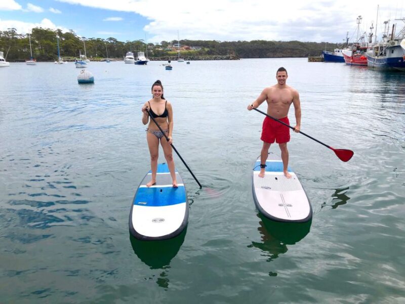 Miami: Biscayne Bay Kayak or Paddleboard Rental - Who Should Consider This Experience?