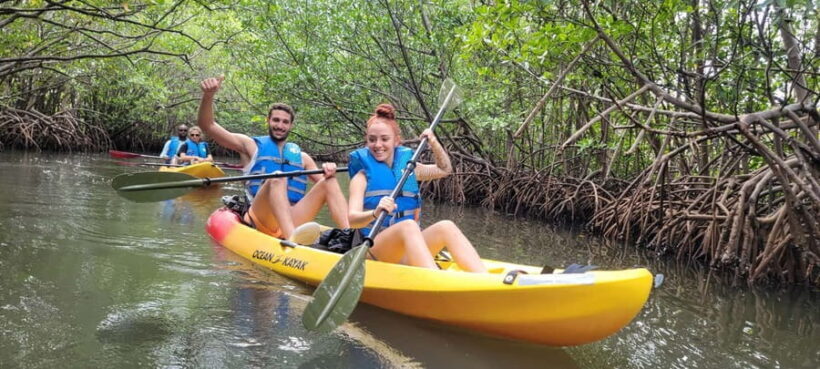 Miami: Biscayne Bay Ultimate Boat Tour with Kayak Experience - An In-Depth Look at the Biscayne Bay Tour Experience