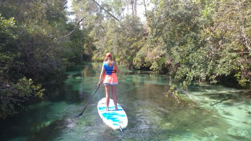 Miami: Biscayne Bay Ultimate Boat Tour with Kayak Experience - The Sum Up: Who Is It Best For?
