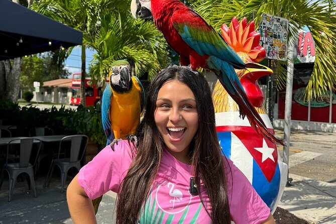 Miami Bus Tour - Flamingo Bus Miami Tours Open-Air Trolley - An In-Depth Look at the Tour Itinerary