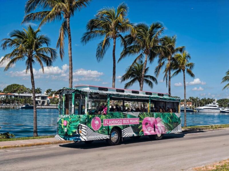 Miami Bus Tour Flamingo Open Air Trolley Bus Tours City Tour - Final Thoughts: Why It’s a Good Value