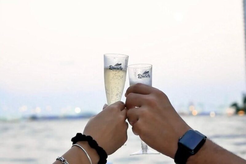 Miami: BYOB Day, Sunset or Night Private Boat Tour - Who Should Consider This Tour?