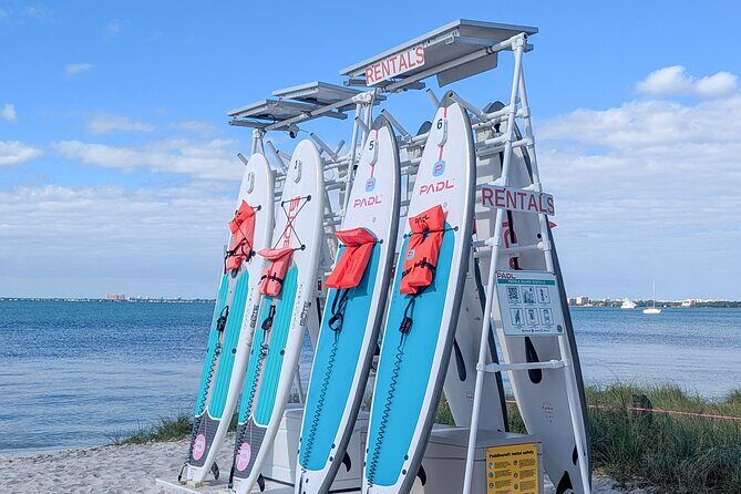 Miami Chair and Umbrella Package on Biscayne Bay - Who Should Consider This Experience?