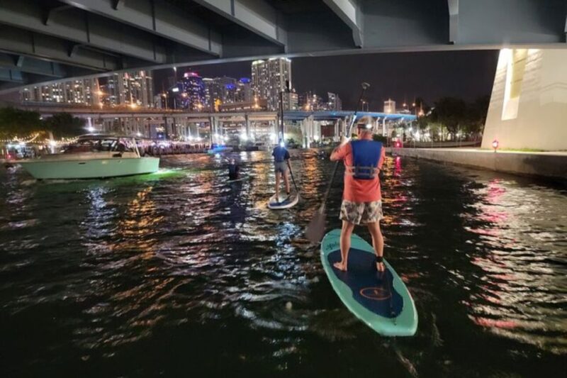Miami: City Lights SUP or Kayak Night Tour - Who Will Love This Tour?