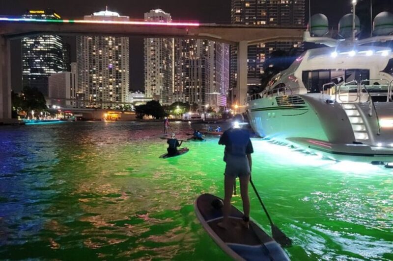 Miami: City Lights SUP or Kayak Night Tour - Reviews That Speak for Themselves