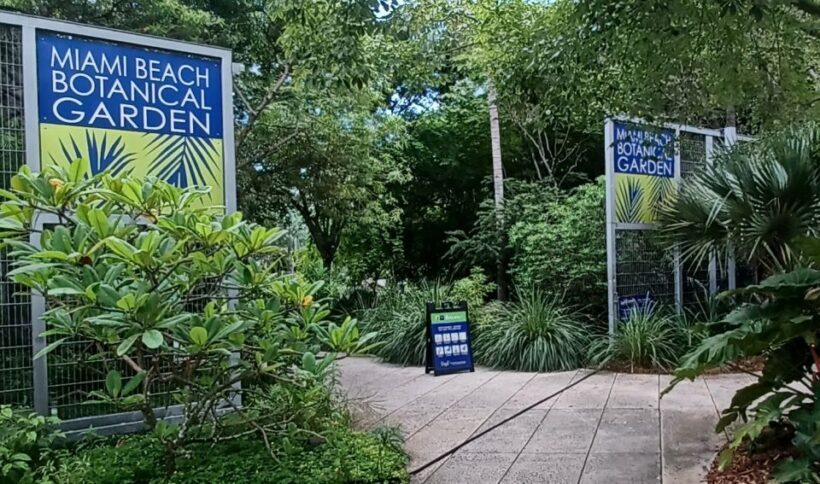Miami City Tour - Who Should Consider This Tour?