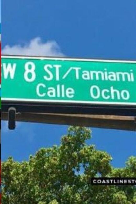 Miami: City Tour and Thriller Speedboat Adventure - Exploring Miamis Neighborhoods: The Cultural and Artistic Heartbeat