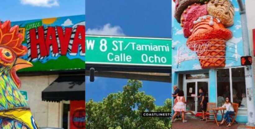 Miami: City Tour and Thriller Speedboat Adventure - Practical Details and How This Tour Fits Your Travel Style