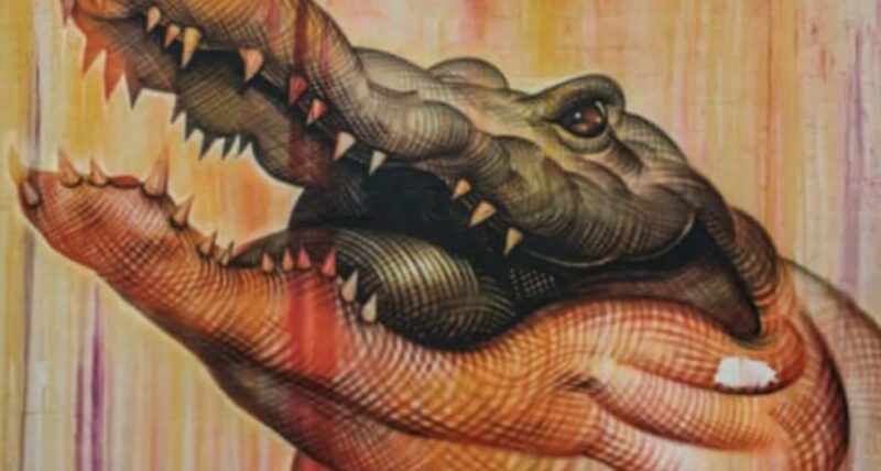 Miami: City Tour with Optional Cruise and Everglades Entry - FAQ: Your Questions Answered