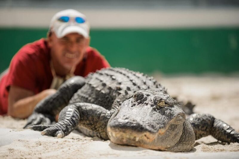 Miami: Everglades Adventure & Big Bus Hop-on Hop-off Tour - Authentic Experiences and Traveler Insights