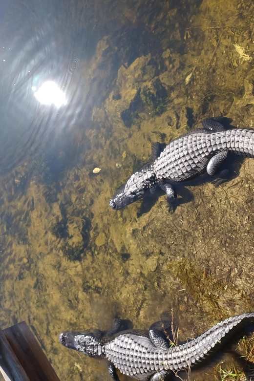 Miami: Everglades Airboat Eco Tour w/ Luxury Transportation - Analyzing the Cost and Overall Value