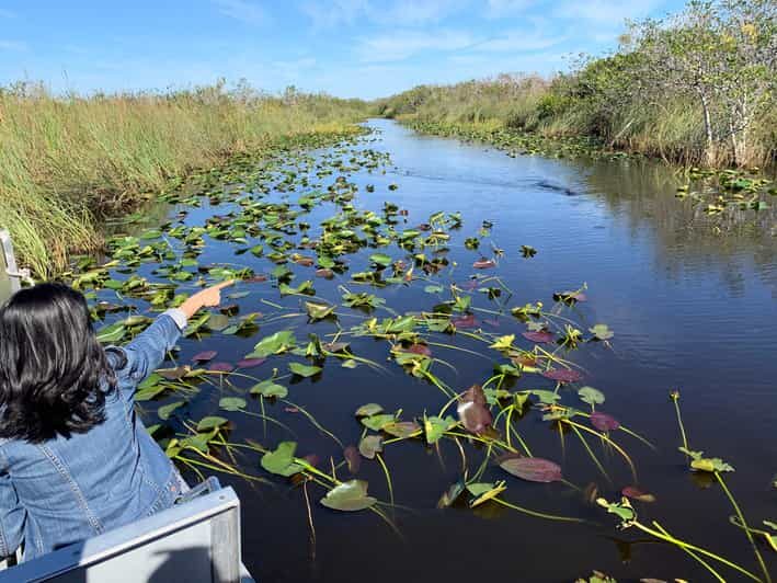Miami: Everglades Airboat, Gator Experience with Transfer - Exploring the Everglades: An Airboat Adventure with Gator Encounters