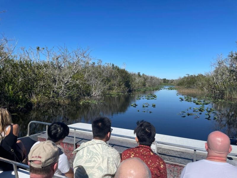Miami: Everglades Airboat, Photo & Gator Experience - The Cost and Value