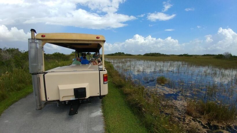 Miami: Everglades Airboat Ride and Tram Tour - An In-Depth Look at the Everglades Tour Experience