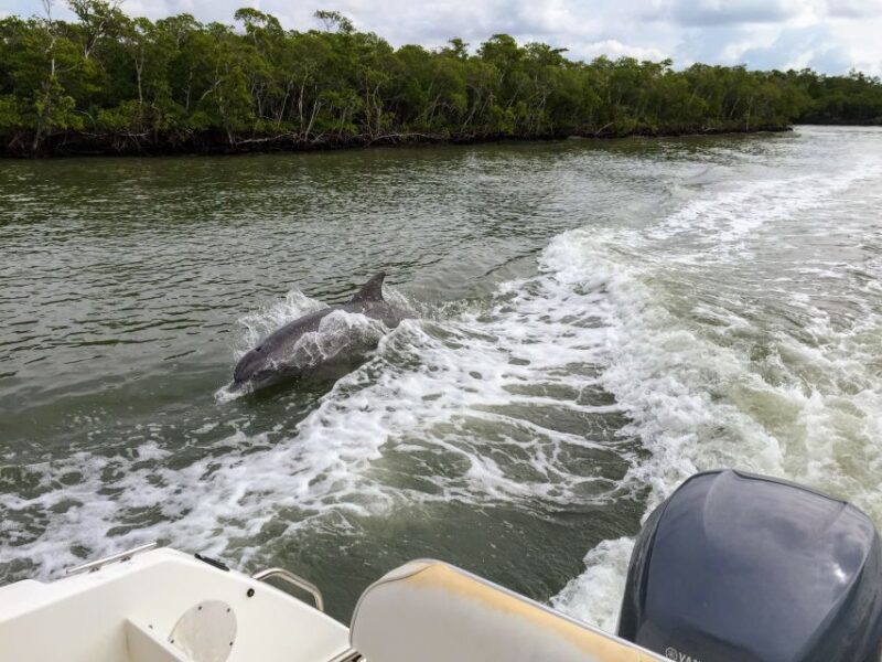 Miami: Everglades Full-Day Tour with 2 Boat Trips and Lunch - Is It Worth the Cost?