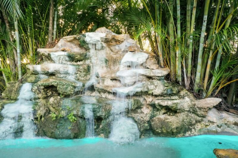 Miami: Everglades National Park Airboat Tour & Wildlife Show - The Practical Side: Logistics and Tips