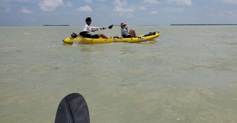 Miami: Everglades National Park Hiking and Kayaking Day Trip - Final Thoughts: Is This Tour Worth It?