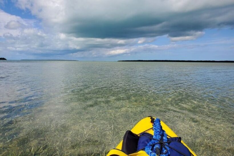 Miami: Everglades National Park Hiking and Kayaking Day Trip - Final Takeaway