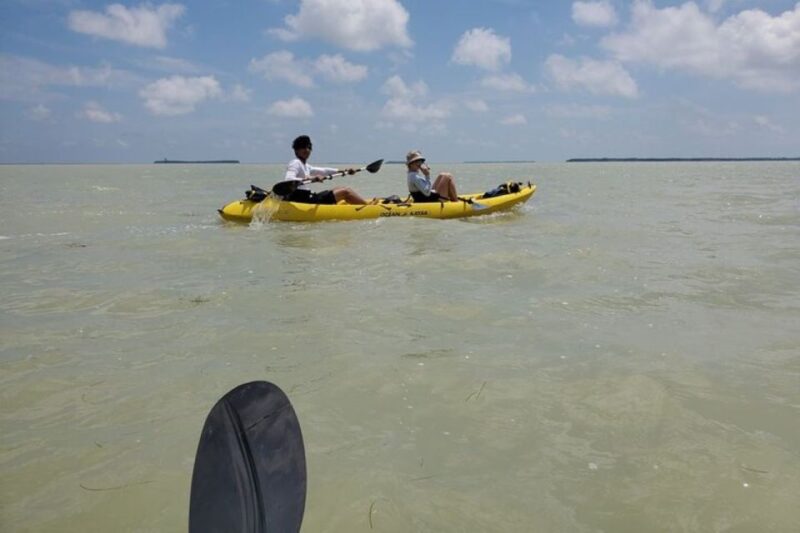 Miami: Everglades National Park Hiking and Kayaking Day Trip - Potential Drawbacks and Considerations