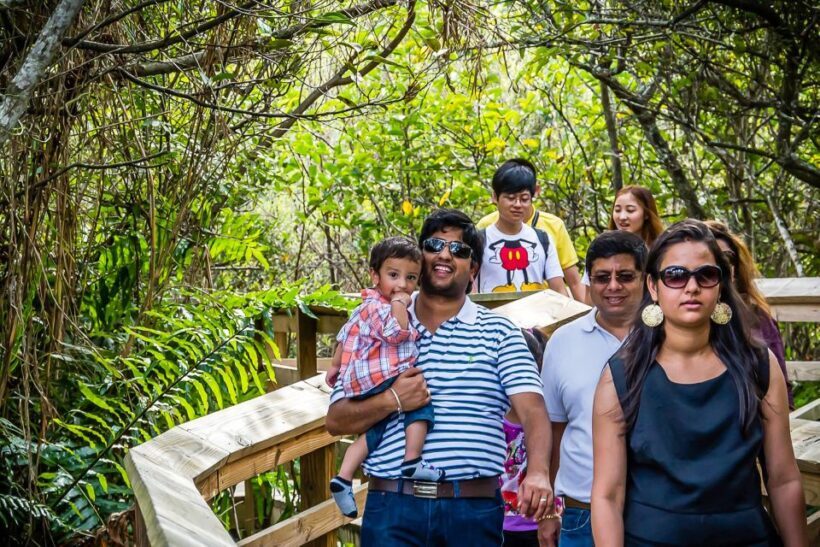 Miami: Everglades Safari Park Airboat Tour - Exploring the Everglades: What to Expect