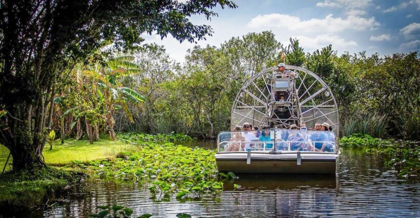 Miami: Everglades Safari Park Airboat Tour - Who Will Love This Tour?