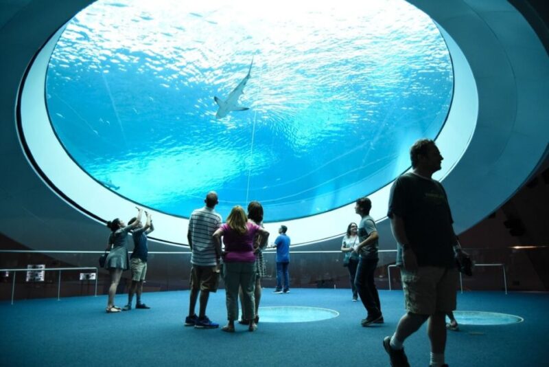 Miami: Frost Museum of Science and Planetarium Entry Ticket - Frequently Asked Questions