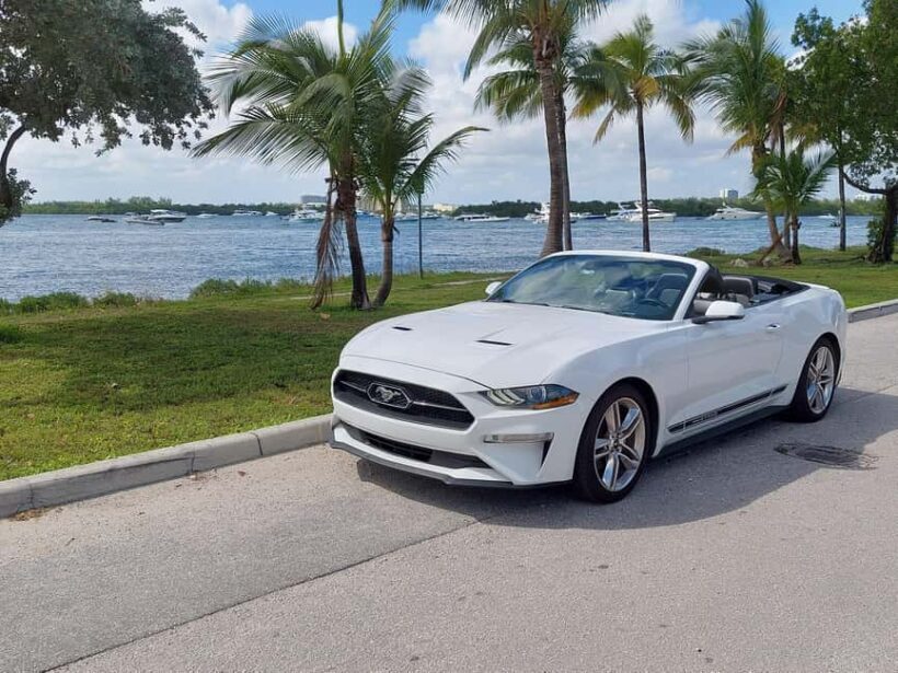 Miami: Full-day tour of the Keys in a convertible Mustang in French - What Travelers Say