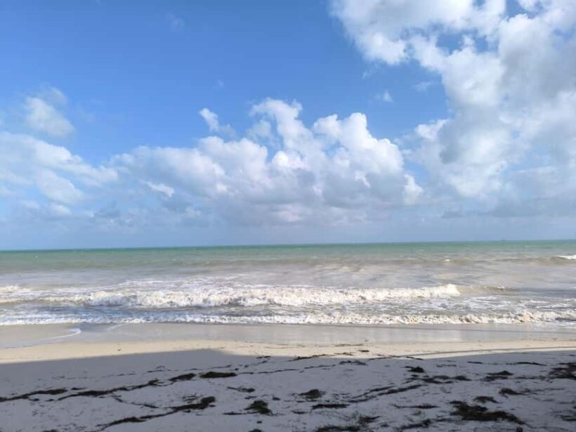 Miami: Full-day tour of the Keys in a convertible Mustang in French - Is This Tour Worth It?