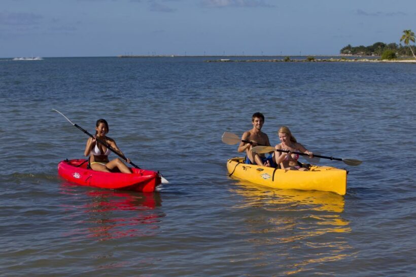 Miami: Go City Explorer Pass - Choose 2 to 5 Attractions - What to Expect from the Miami Explorer Pass