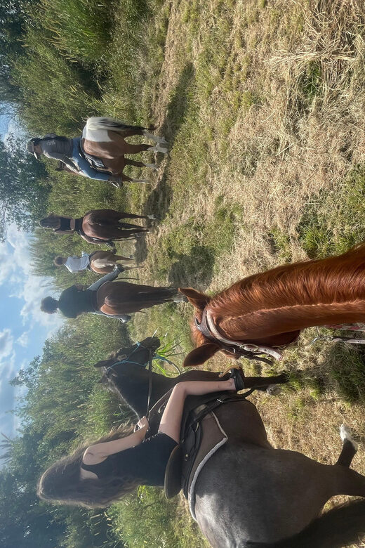 Miami: Guided Horseback Riding Tour - What to Expect at the Meeting Point and Throughout the Tour