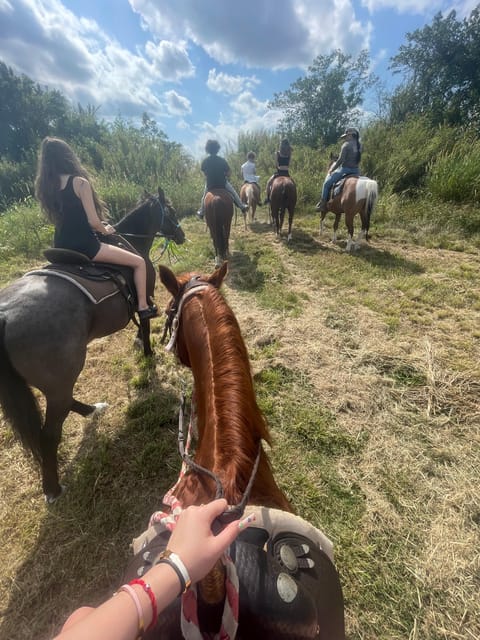 Miami: Guided Horseback Riding Tour - Why This Tour Is Worth Considering