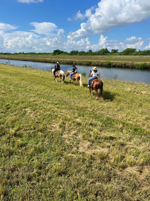 Miami: Guided Horseback Riding Tour - The Sum Up