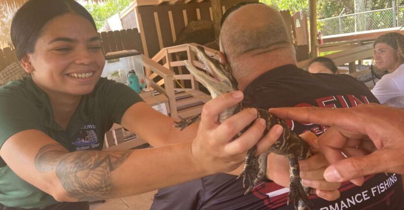 Miami: Half-Day Everglades Tour in French - An In-Depth Look at the Tour
