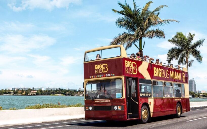 Miami: Hop-on Hop-off Open-top Bus Tour and Optional Cruise - The Cruise of Millionaire’s Row: What You Need to Know