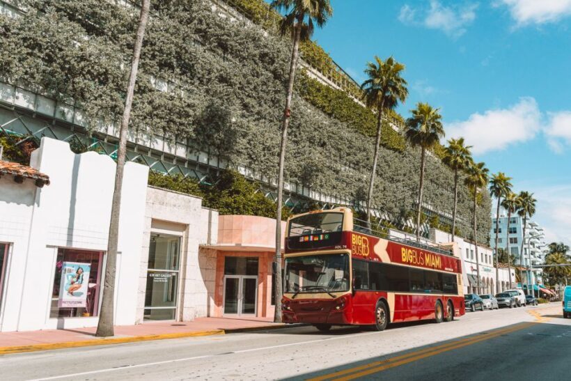 Miami: Hop-on Hop-off Open-top Bus Tour and Optional Cruise - Who Will Love This Tour?