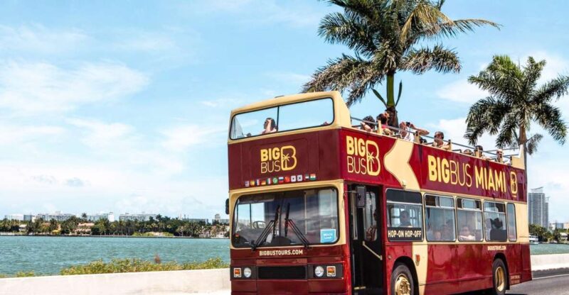 Miami: Hop-on Hop-off Sightseeing Tour with Optional Cruise - Reviews and Real Traveler Insights