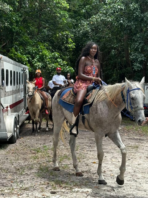 Miami: Horseback Riding in South Beach - The Realities From Traveler Reviews