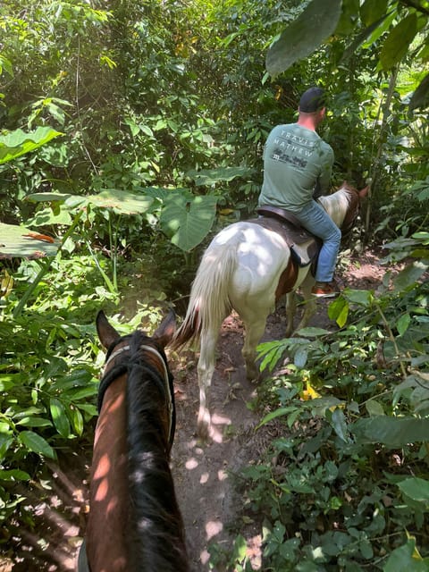 Miami: Horseback Riding in South Beach - The Sum Up: Is It Worth It?