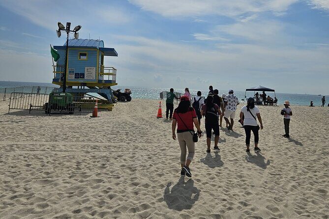 Miami Insider: Small Group City Tour with Optional Boat Cruise - Key Points