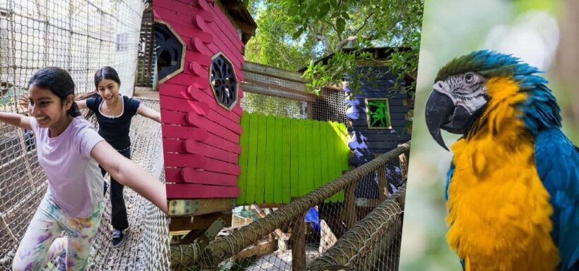 Miami: Jungle Island General Admission - Location and Accessibility