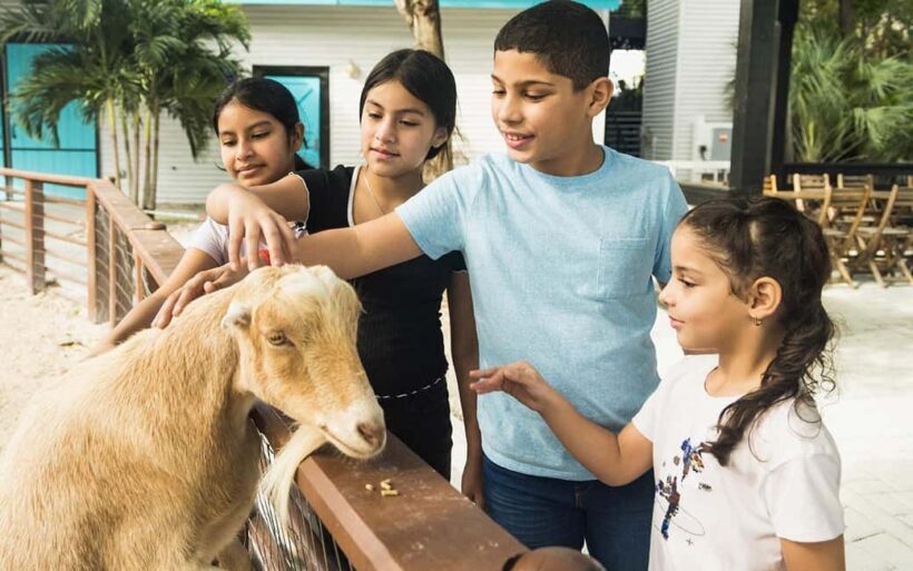 Miami: Jungle Island General Admission - The Treewalk Village: An Elevated Adventure