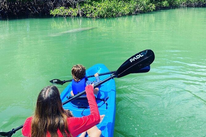 Miami Kayak and Paddleboard Rentals in Virginia Key - The Value of a Budget-Friendly Eco-Adventure