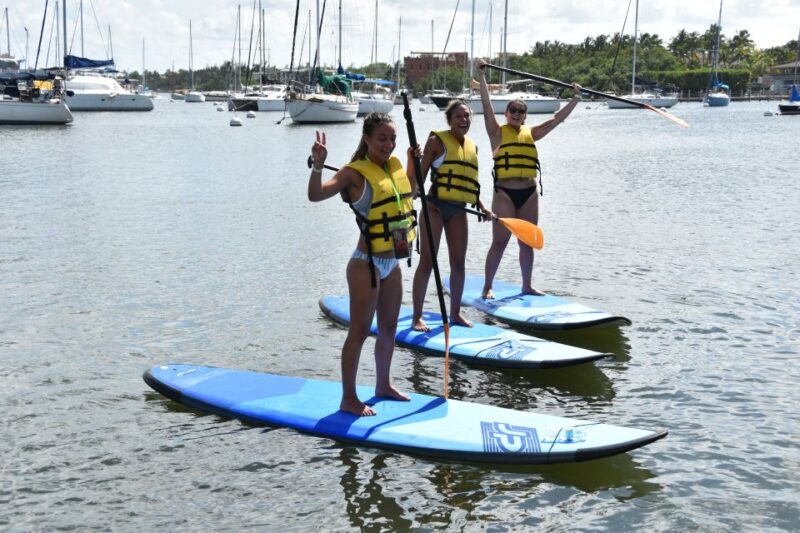 Miami: Kayak or Paddleboard Rental - Final Thoughts: Is It Worth It?